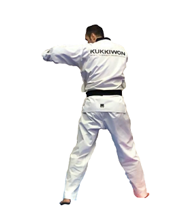 Taekwondo Back Stance