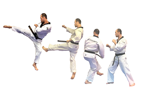 Kicks 차기 — North Battleford Taekwondo Academy