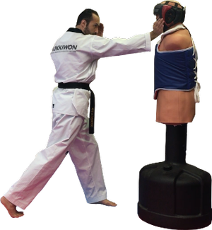 Strikes 치기 — North Battleford Taekwondo Academy