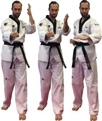 Blocks 막기 — North Battleford Taekwondo Academy