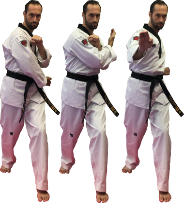 Blocking Techniques 막기 기술 — North Battleford Taekwondo Academy
