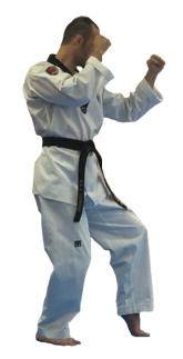 Stances 서기 — North Battleford Taekwondo Academy