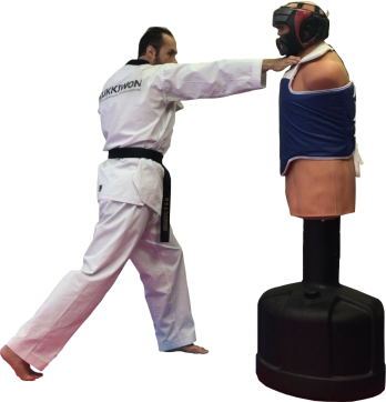 Strikes 치기 — North Battleford Taekwondo Academy
