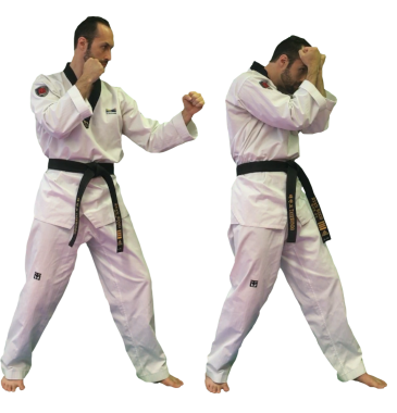 Tae Kwon Do Blocks