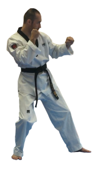 Stances 서기 — North Battleford Taekwondo Academy
