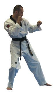 Stances 서기 — North Battleford Taekwondo Academy
