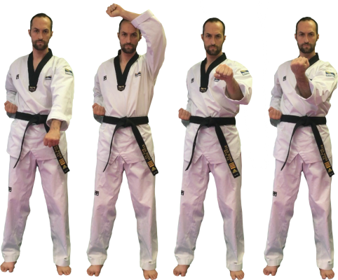 Taekwondo Blocks List