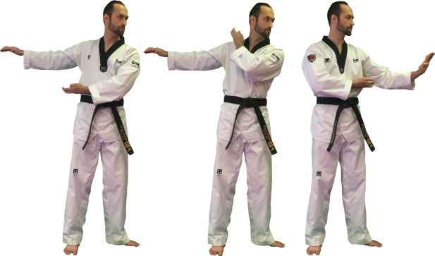 Blocking Techniques 막기 기술 — Taekwondo Compendium 태권도 개론