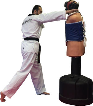 Strikes 치기 — North Battleford Taekwondo Academy