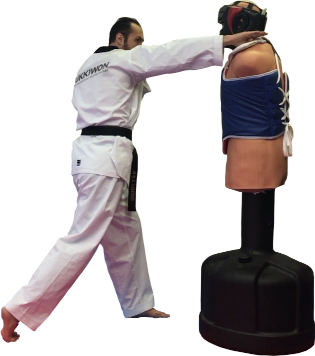 Strikes 치기 — North Battleford Taekwondo Academy