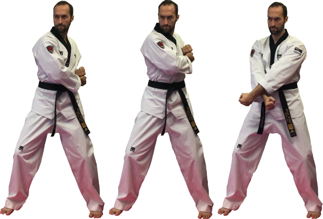 Taekwondo Blocks Names With Pictures