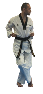 Stances 서기 — North Battleford Taekwondo Academy