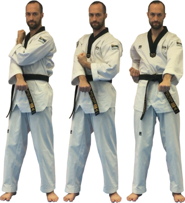 Blocking Techniques 막기 기술 — Taekwondo Compendium 태권도 개론