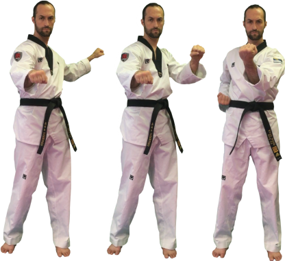 Blocking Techniques 막기 기술 — North Battleford Taekwondo Academy