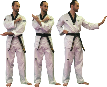 Blocks 막기 — North Battleford Taekwondo Academy