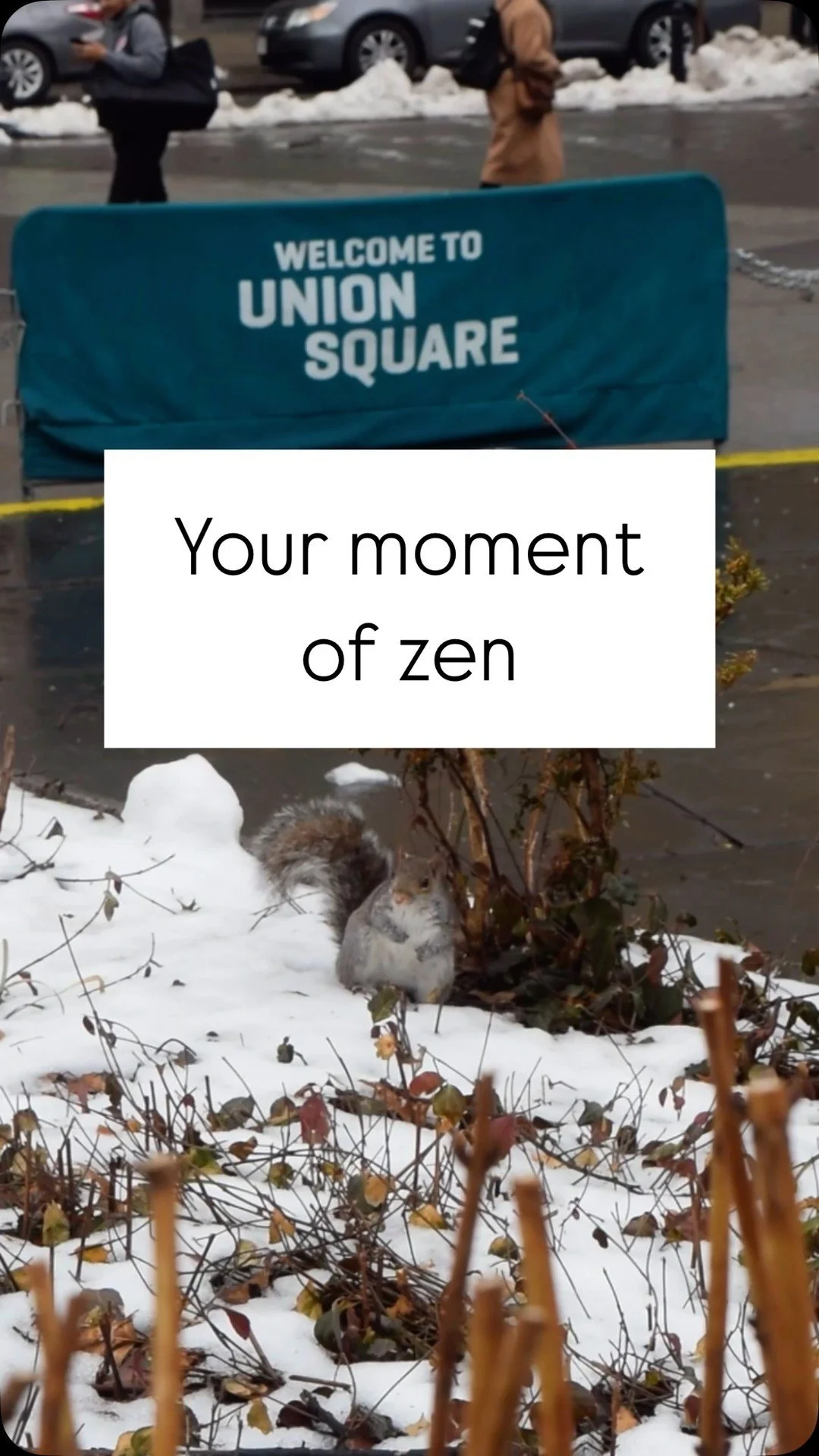 Union Square Partnership