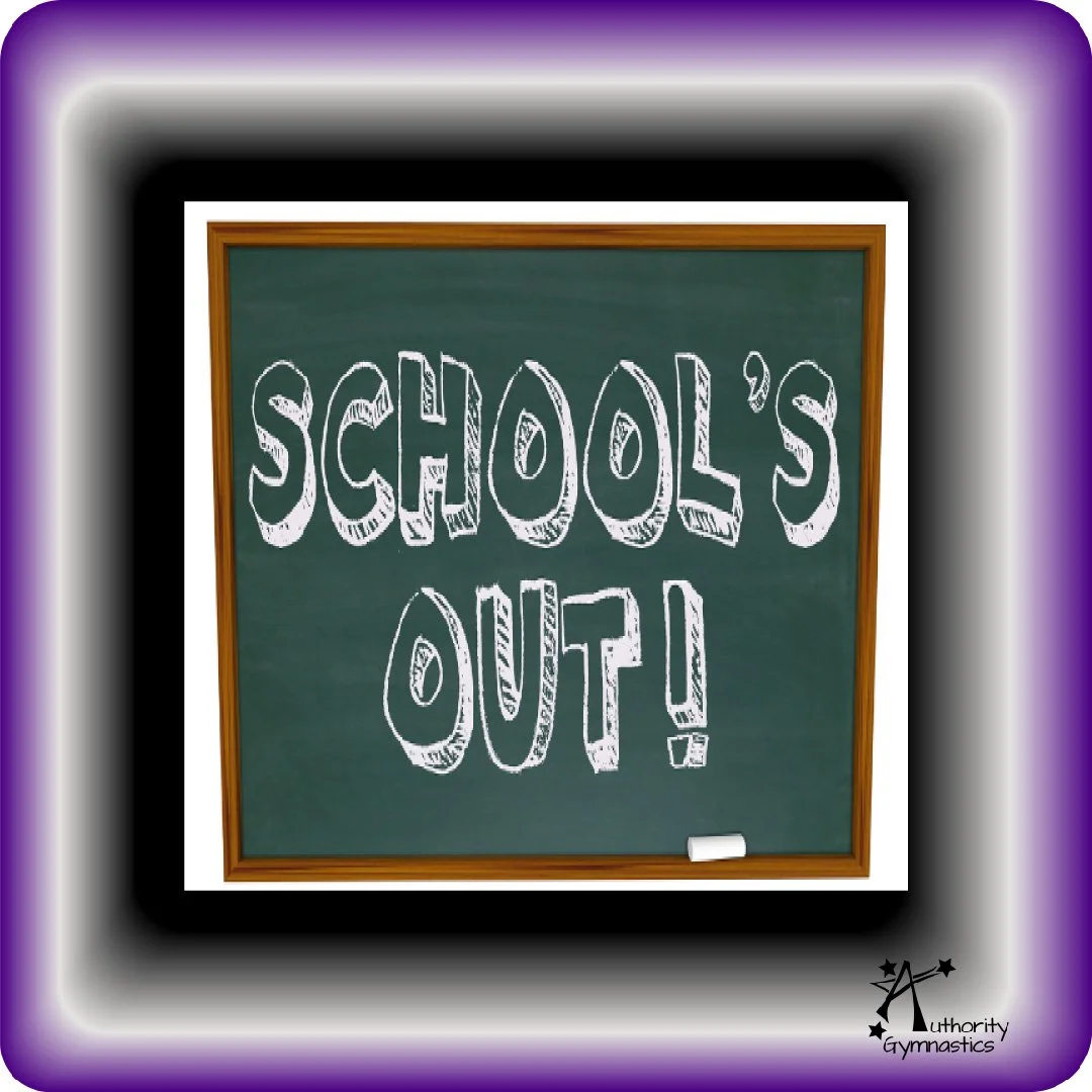 Camps — Authority Gymnastics