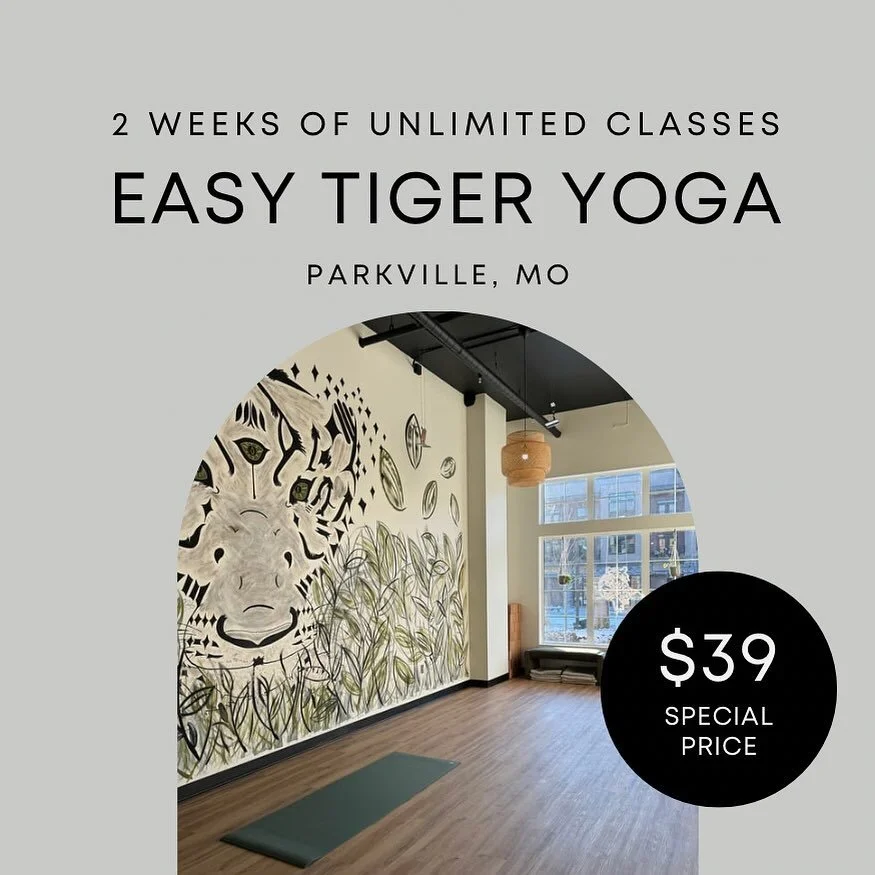 Easy Tiger Yoga