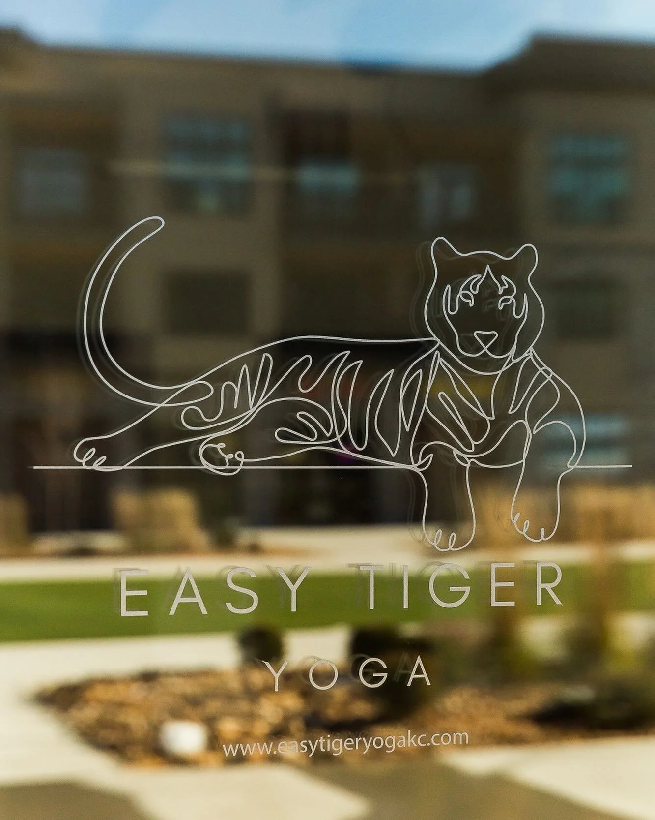 Easy Tiger Yoga