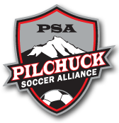 Overview — PSA Force Soccer