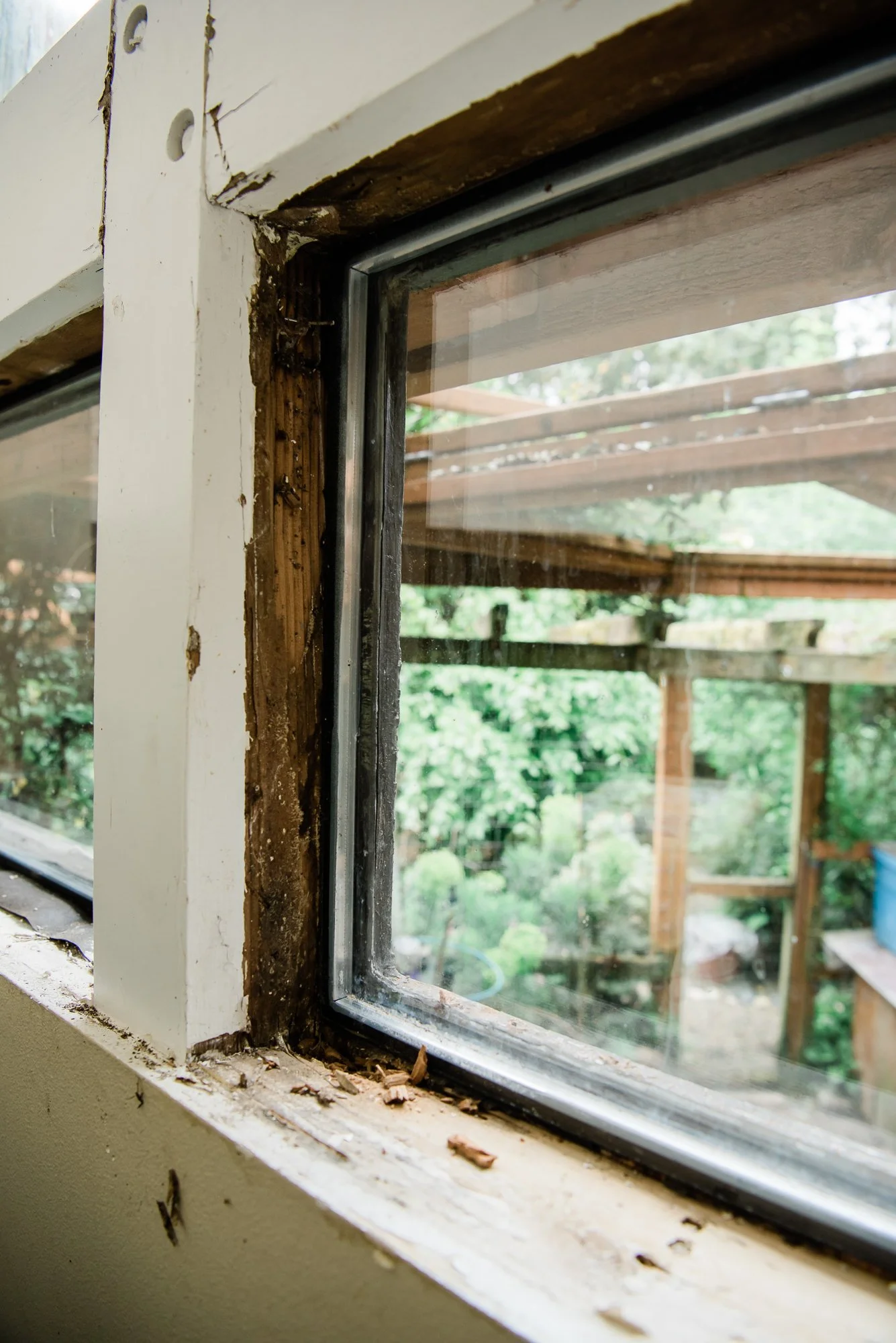 Wood Rot Signs And Repair