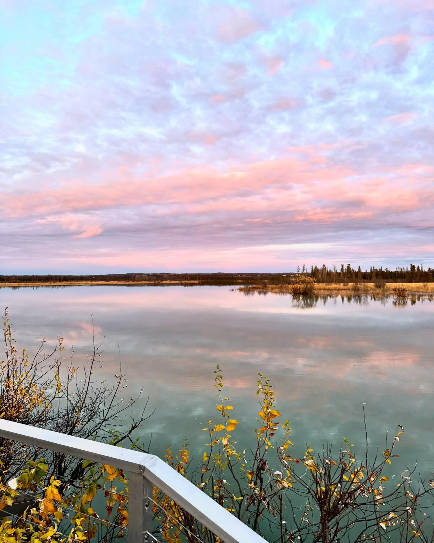 True North Events & Design