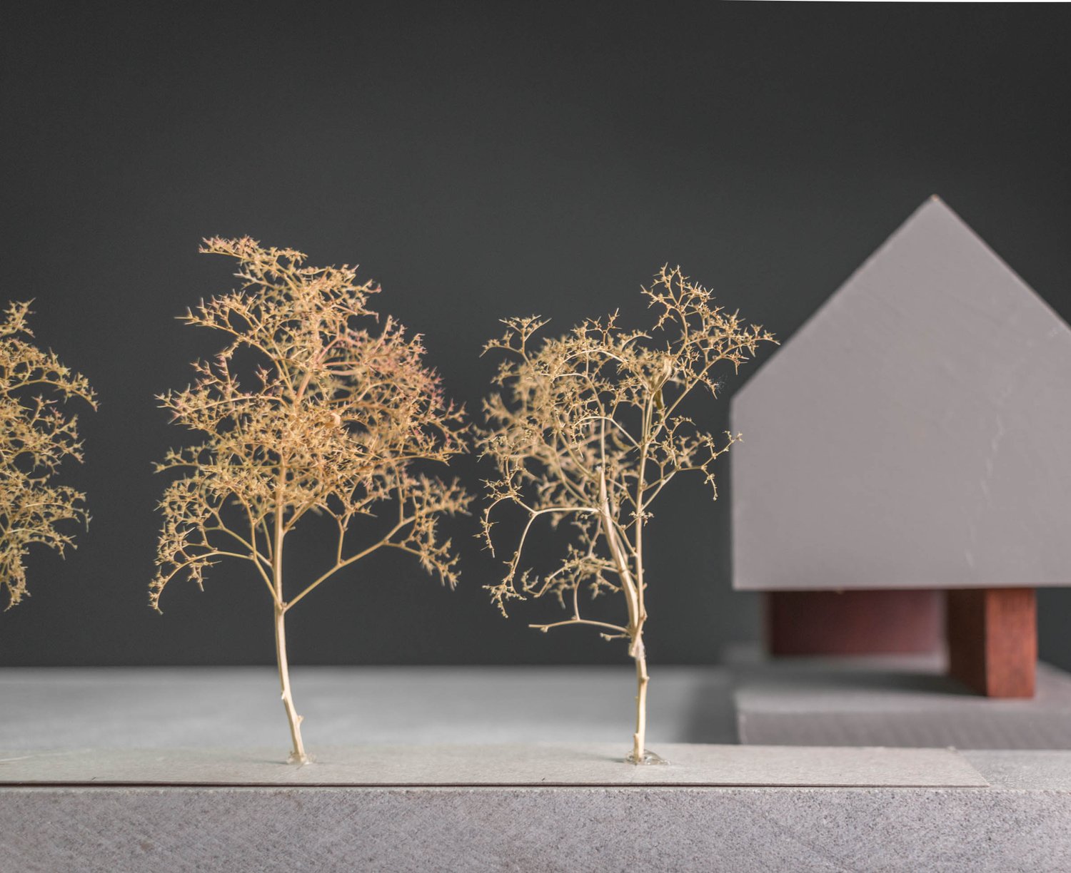 Architectural Model Making | 30X40 Design Workshop