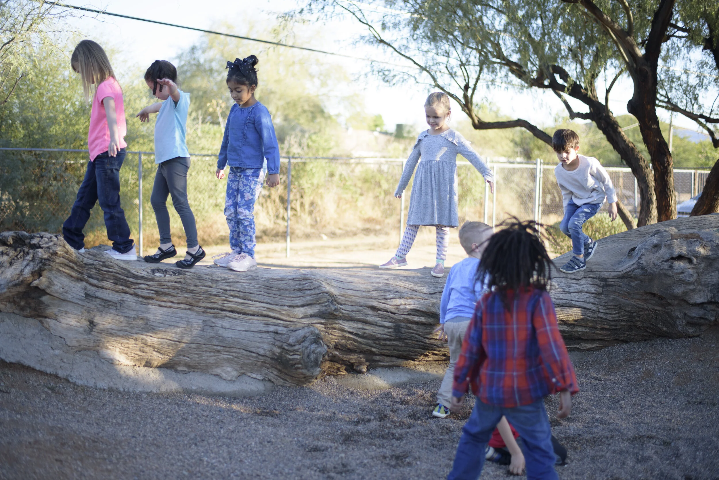 Mountain Pathways School