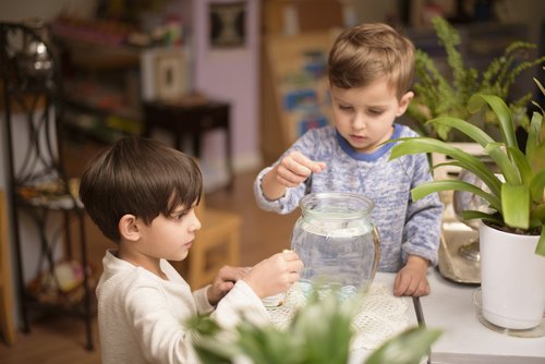 Mission, Values, & Vision — Mountain Pathways School