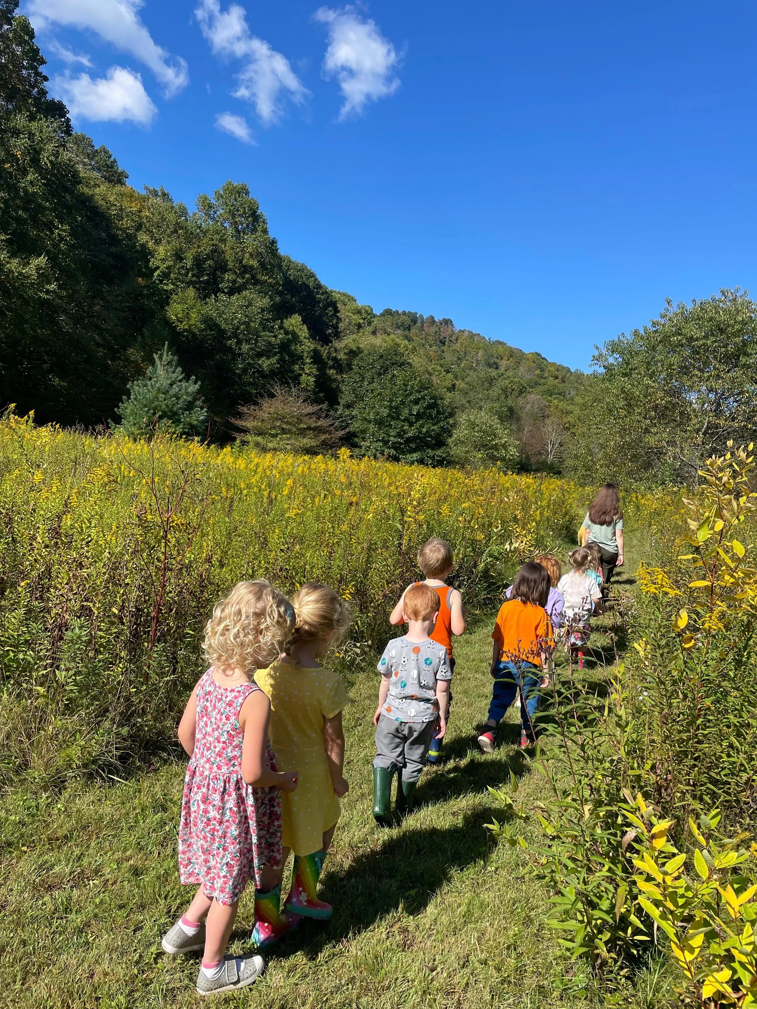 Mountain Pathways School