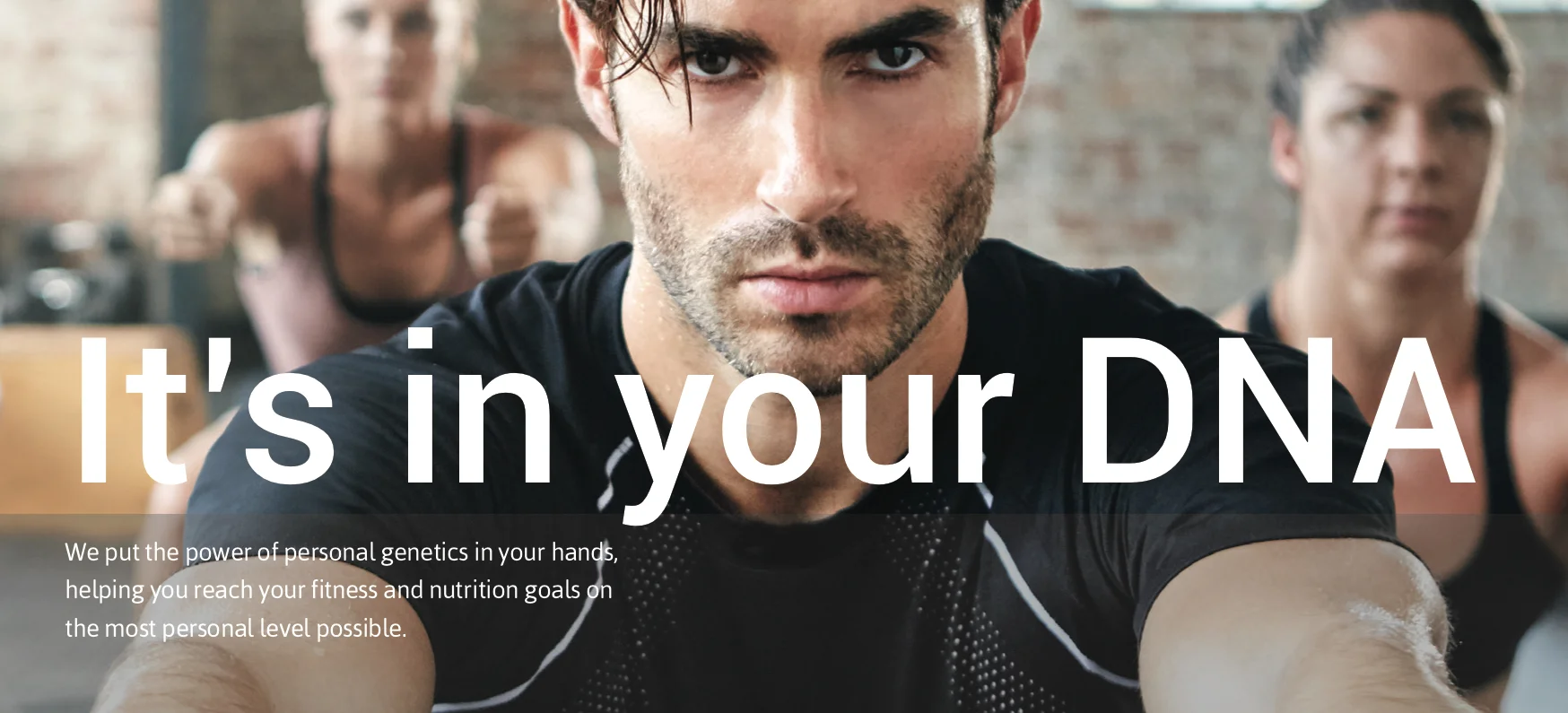 Using Your Genetic Profile to Optimize Your Workouts and Diet — Persevera