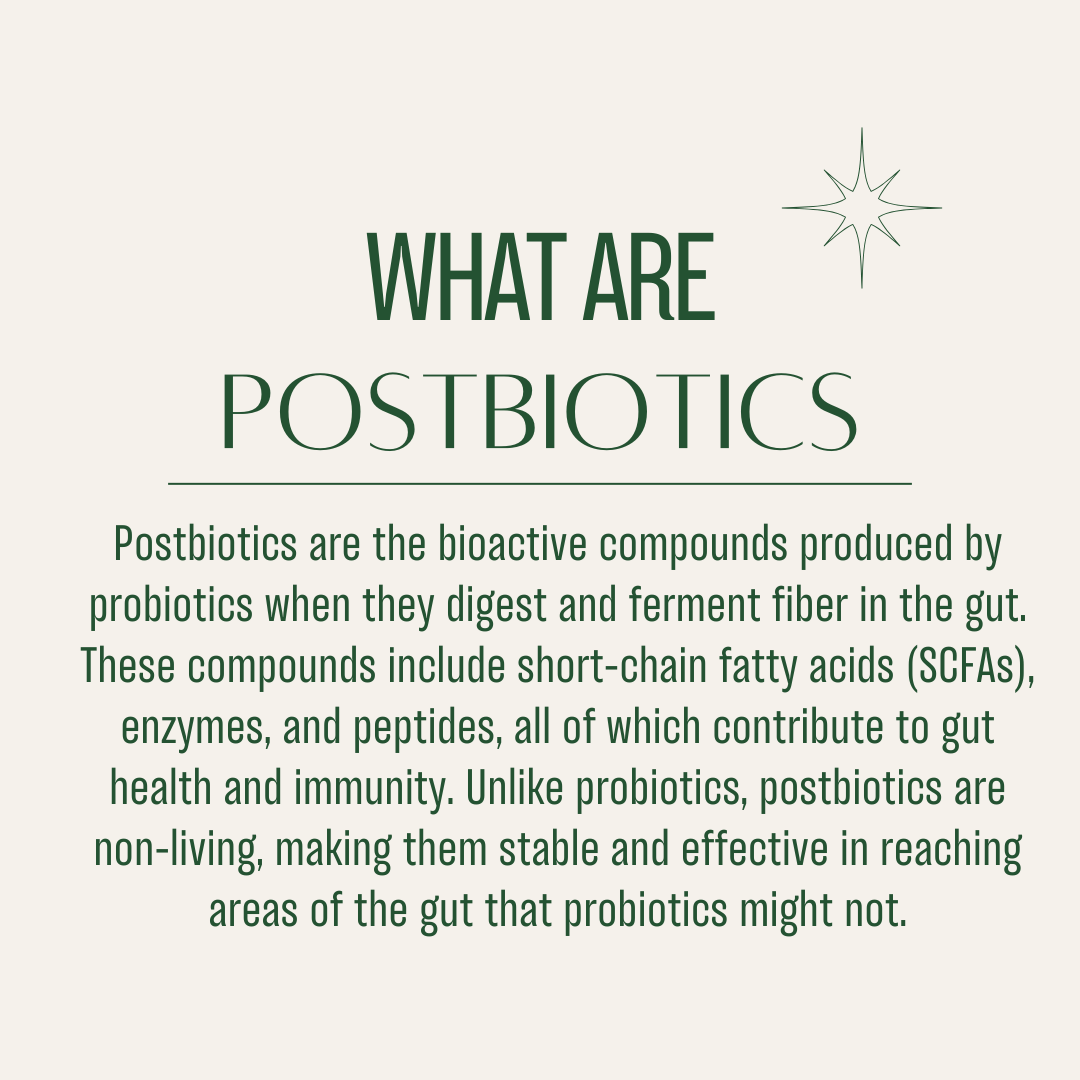 Ultimate Guide to Pro & Postbiotics: Boost your gut health