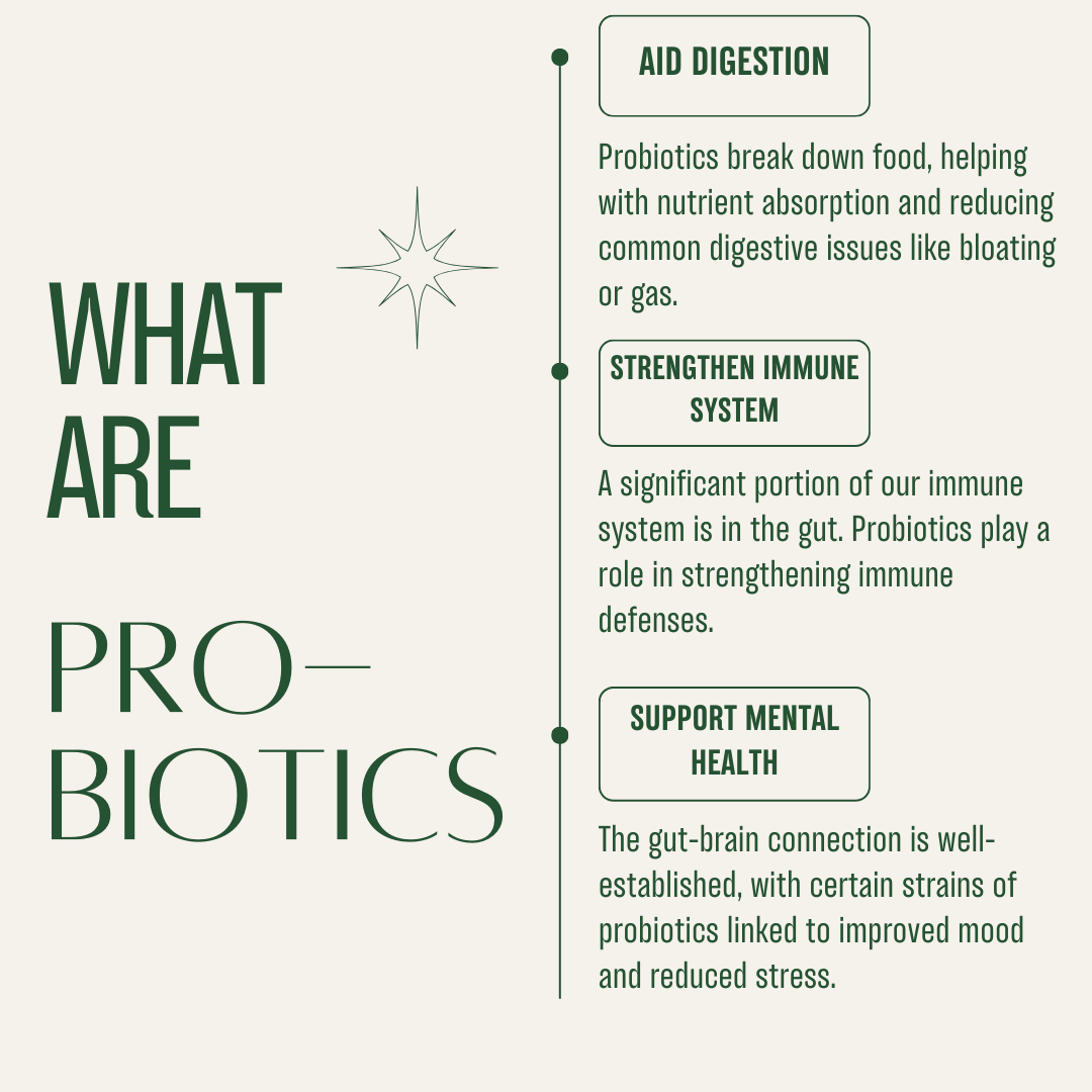 Ultimate Guide to Pro & Postbiotics: Boost your gut health