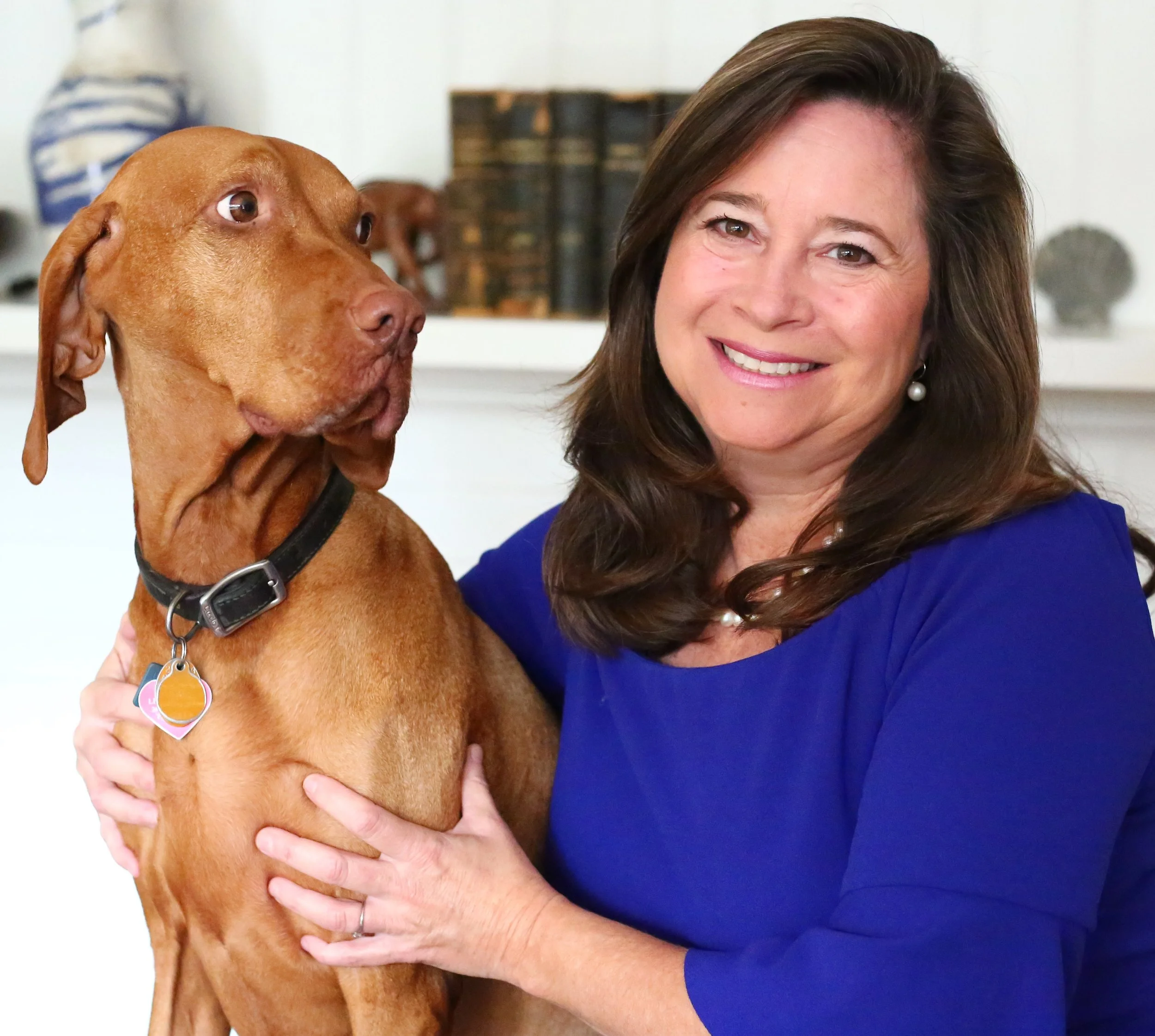 Volume III — Project Blue Dominion