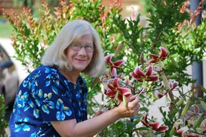 About The Lily Garden — The Lily Garden