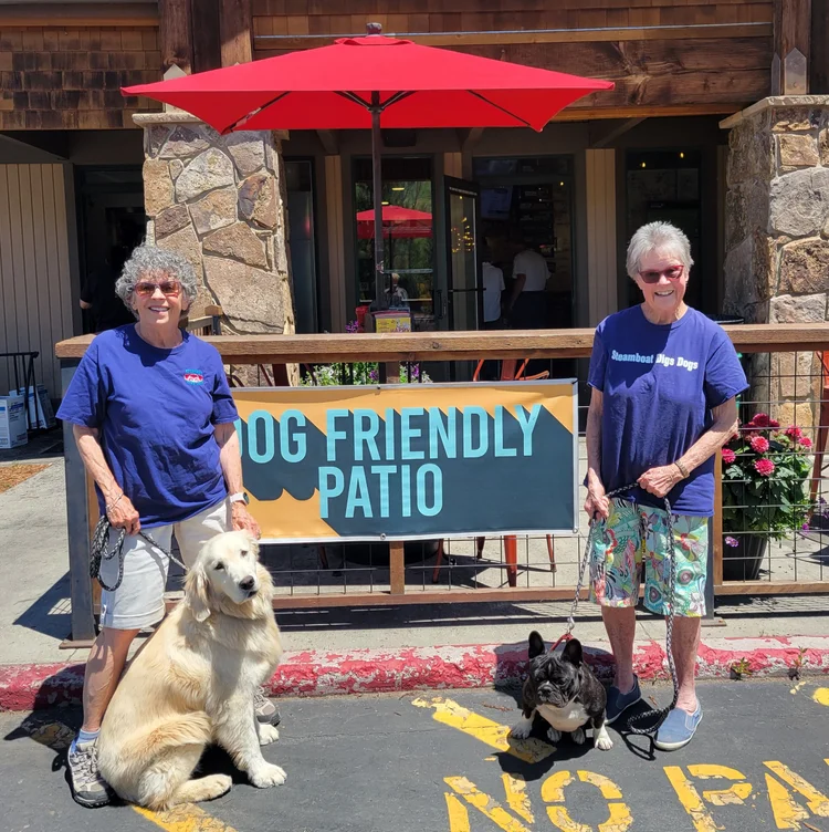 Dog Friendly Patios — Steamboat Digs Dogs