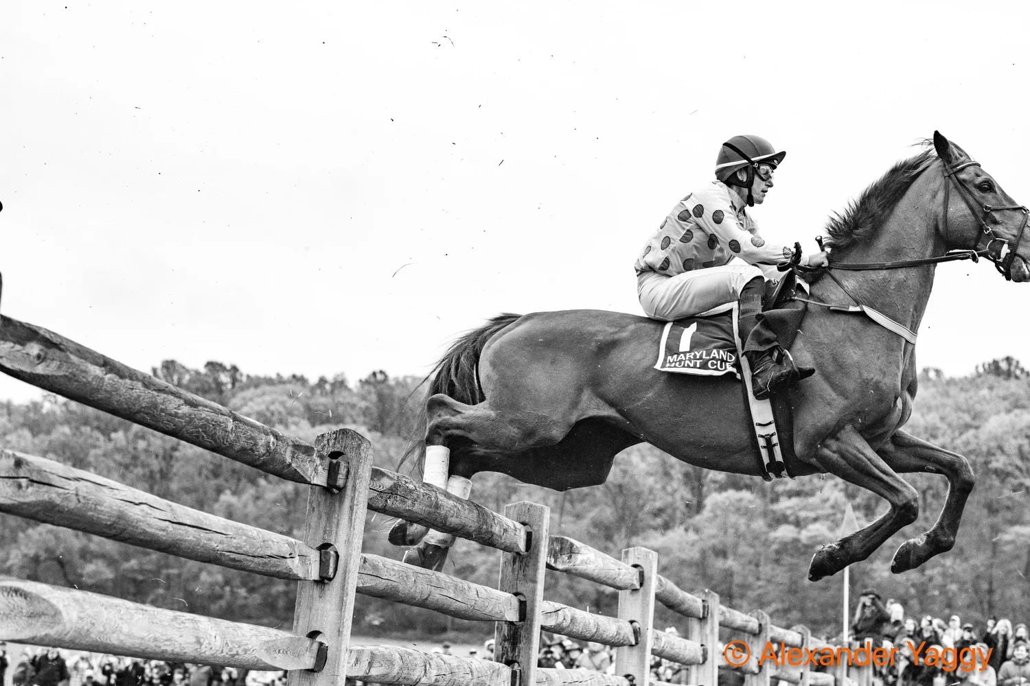 2024 Maryland Hunt Cup — AYAGGY Images