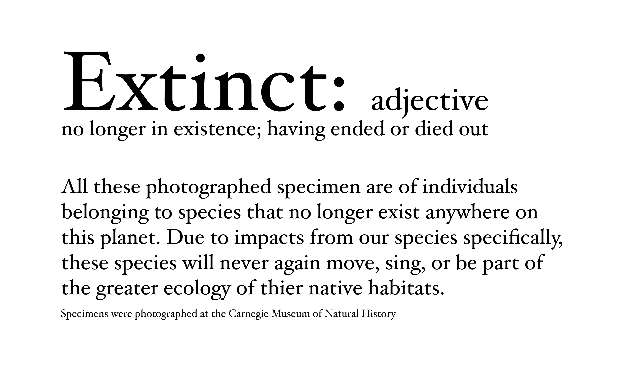 Extinct — Alexander clark photography