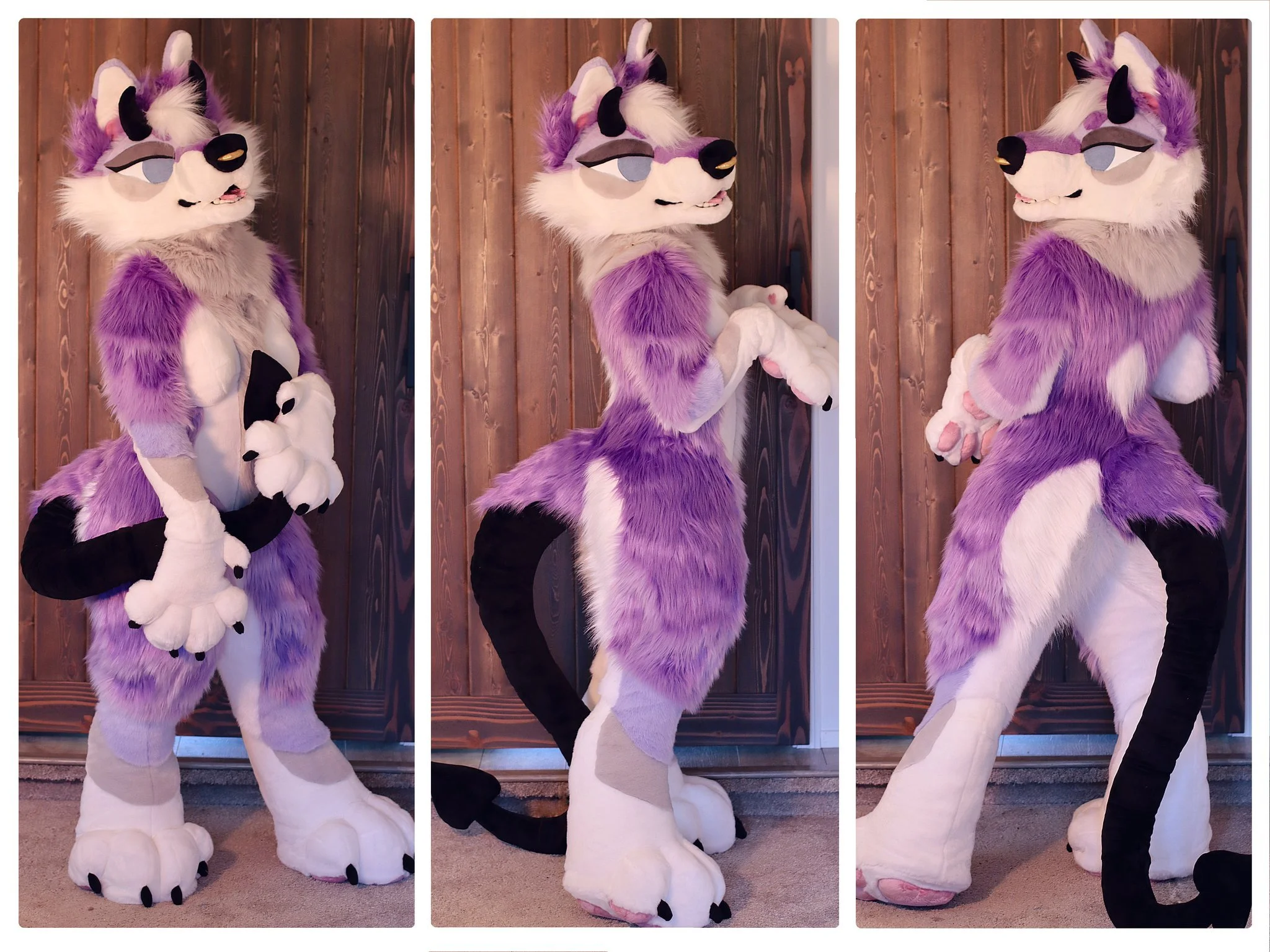 Mid 2021 HoundsTEETH