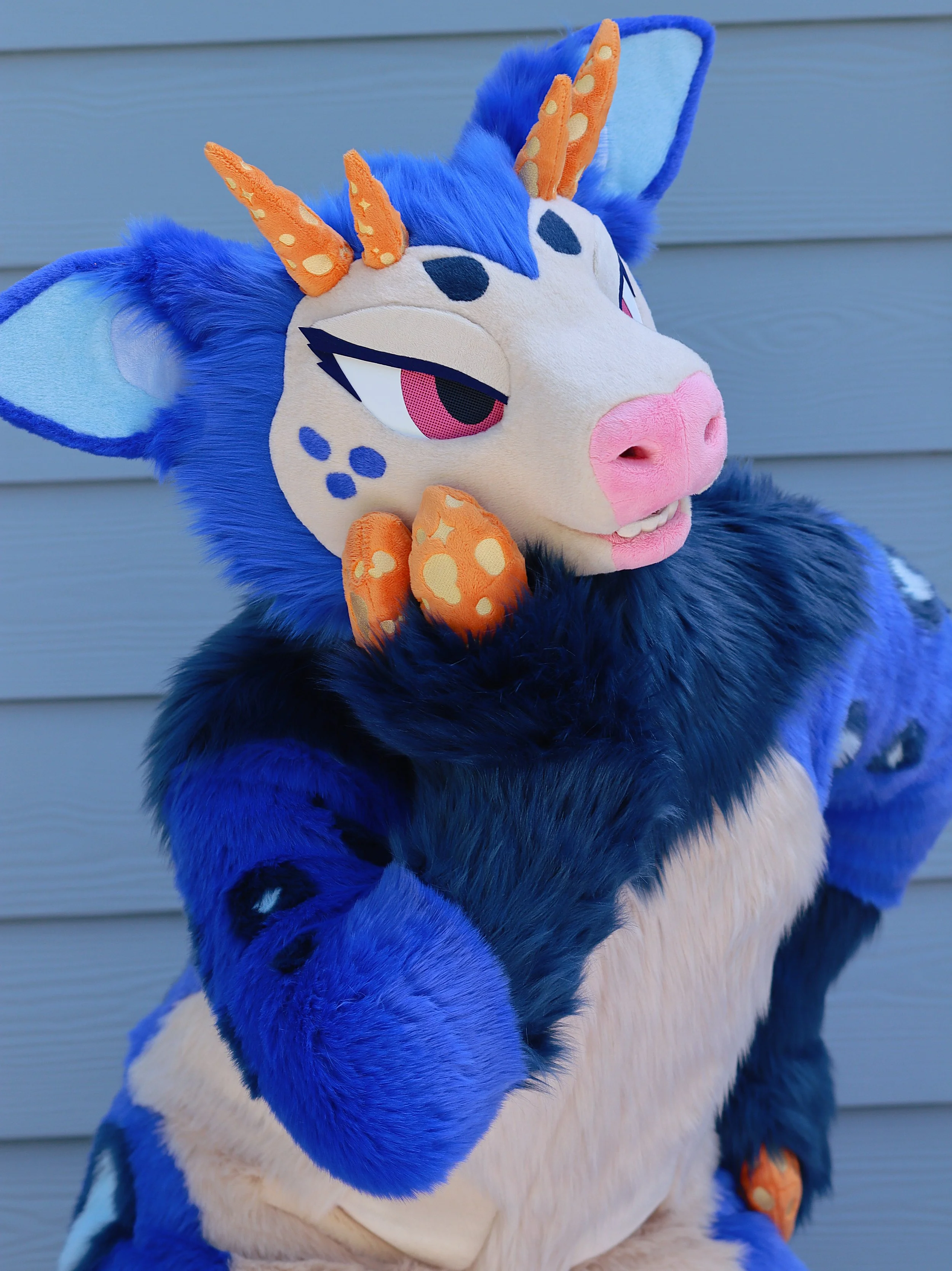 mid 2024 — houndsTEETH