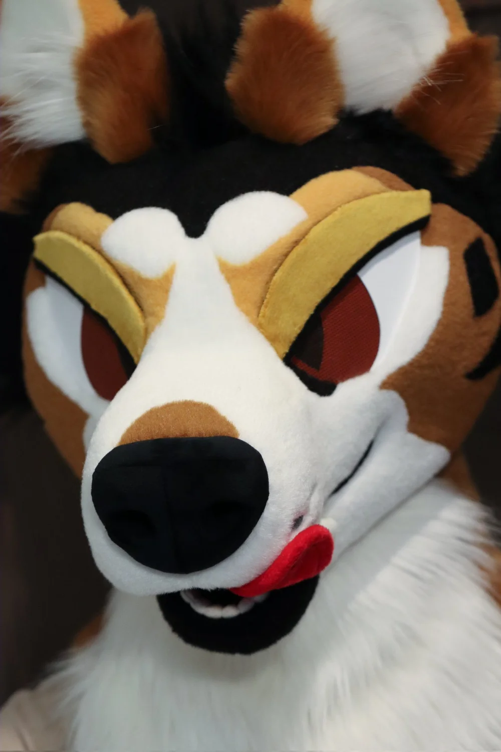 early 2022 — houndsTEETH