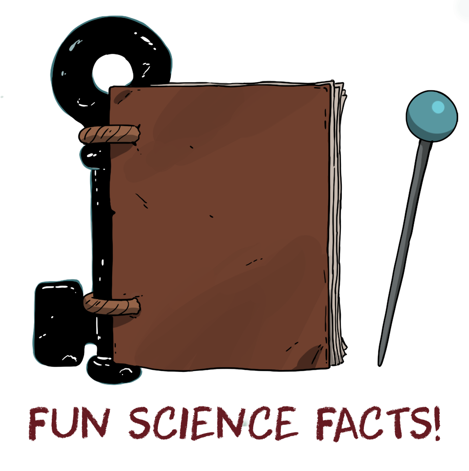 Ember — Jason Pamment