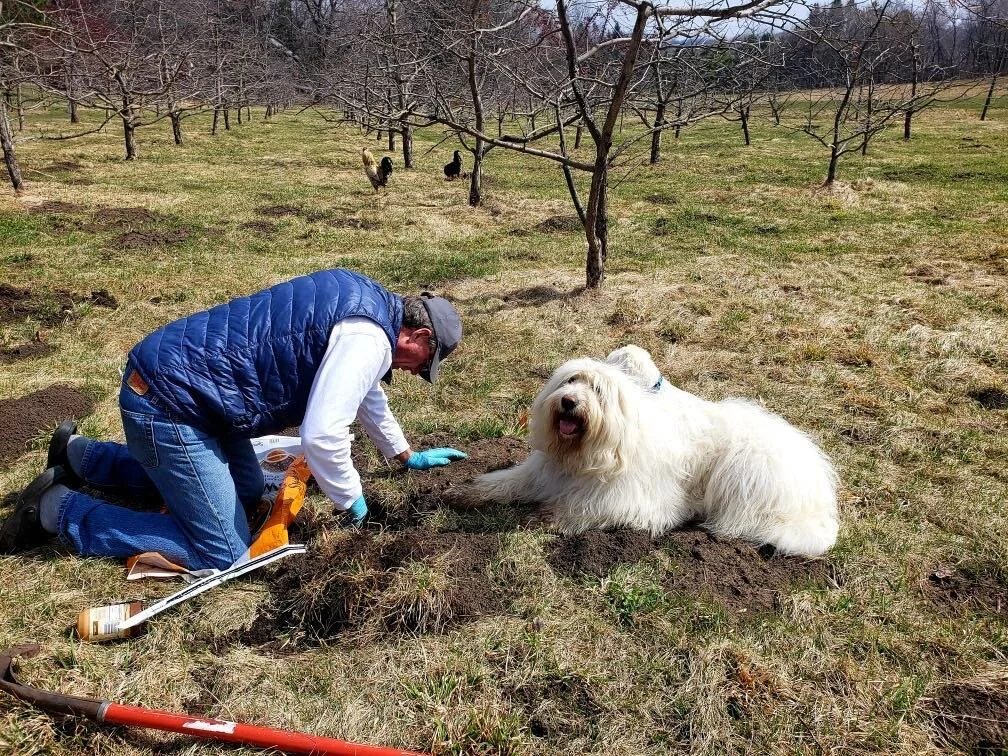 About The Elm Tree Farm — The Elm Tree Farm