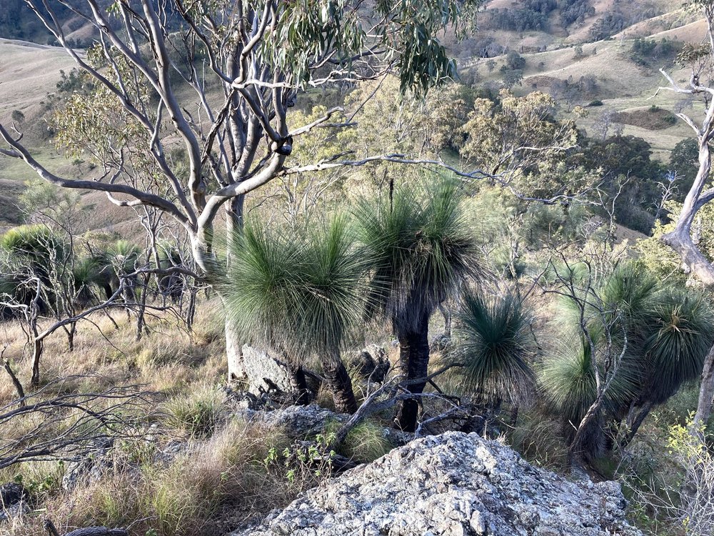 Recent Flora and Vegetation Projects | Key Botany | Flora and ...