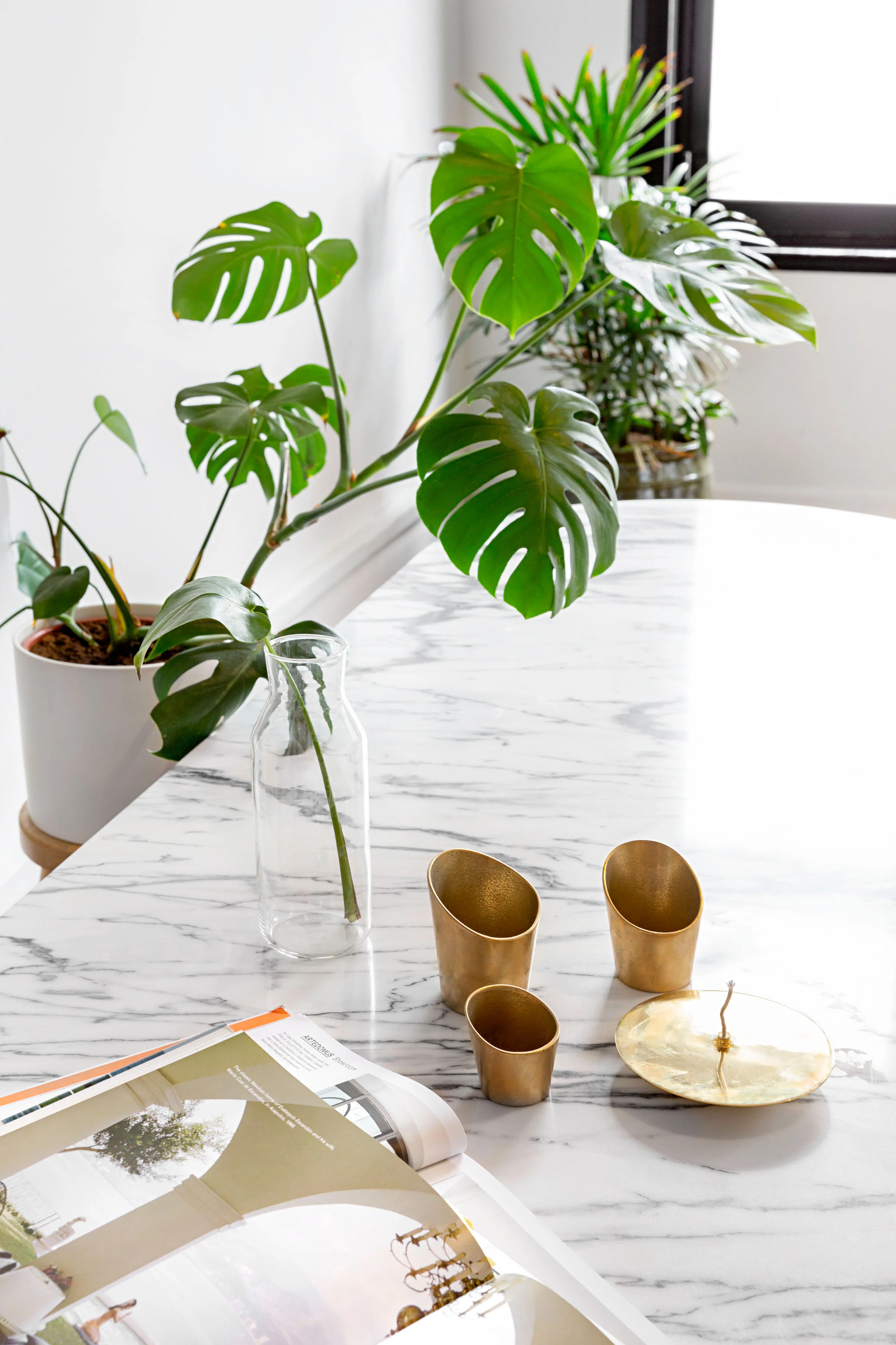 The Stella Collective — Hunter & Folk