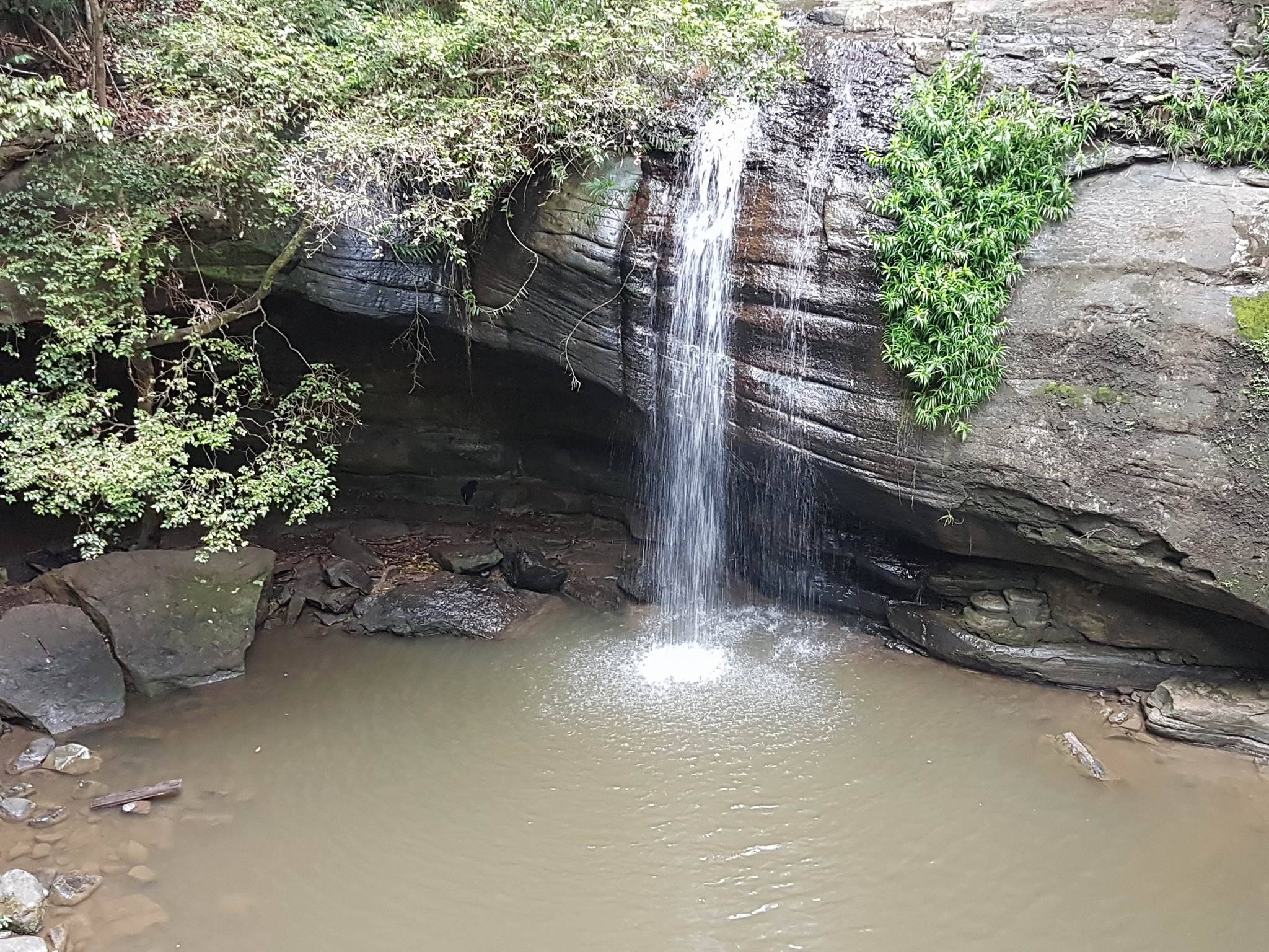 Robinson Falls: Nambour’s secret waterfall — A Sunnier Life