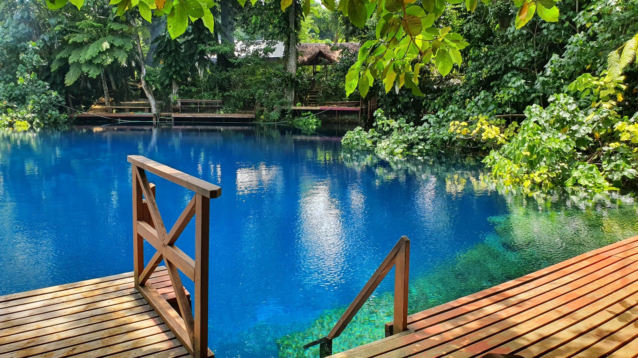 Robinson Falls: Nambour’s secret waterfall — A Sunnier Life