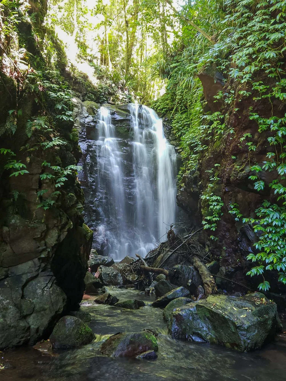 Explore a waterfall wonderland in Lamington National Park — A Sunnier Life