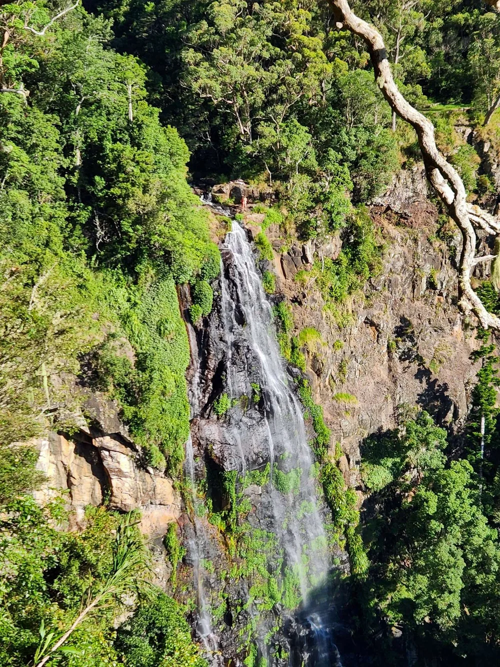 Is Morans Falls Lamington National Park’s prettiest waterfall? — A ...