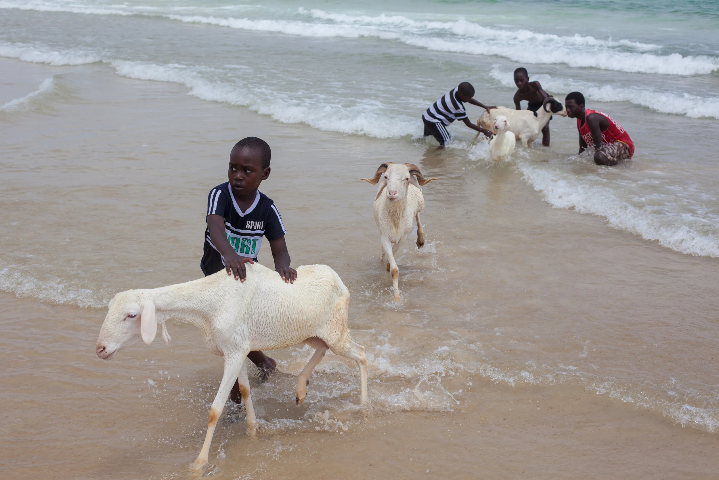 Tabaski Festival in Senegal — Geraint Rowland Photography